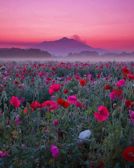 The Magic of a World Without Magic – Atheopaganism